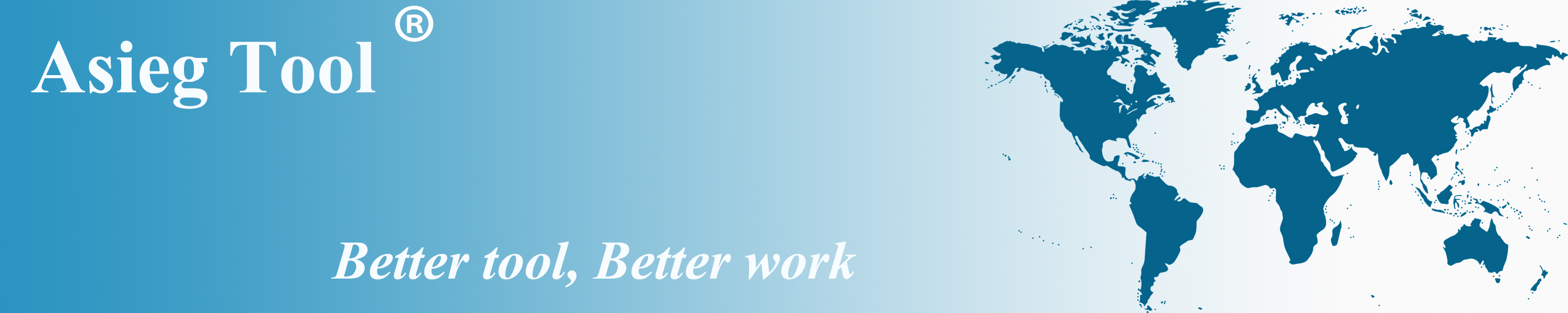 Amazon.com: Asieg Tool