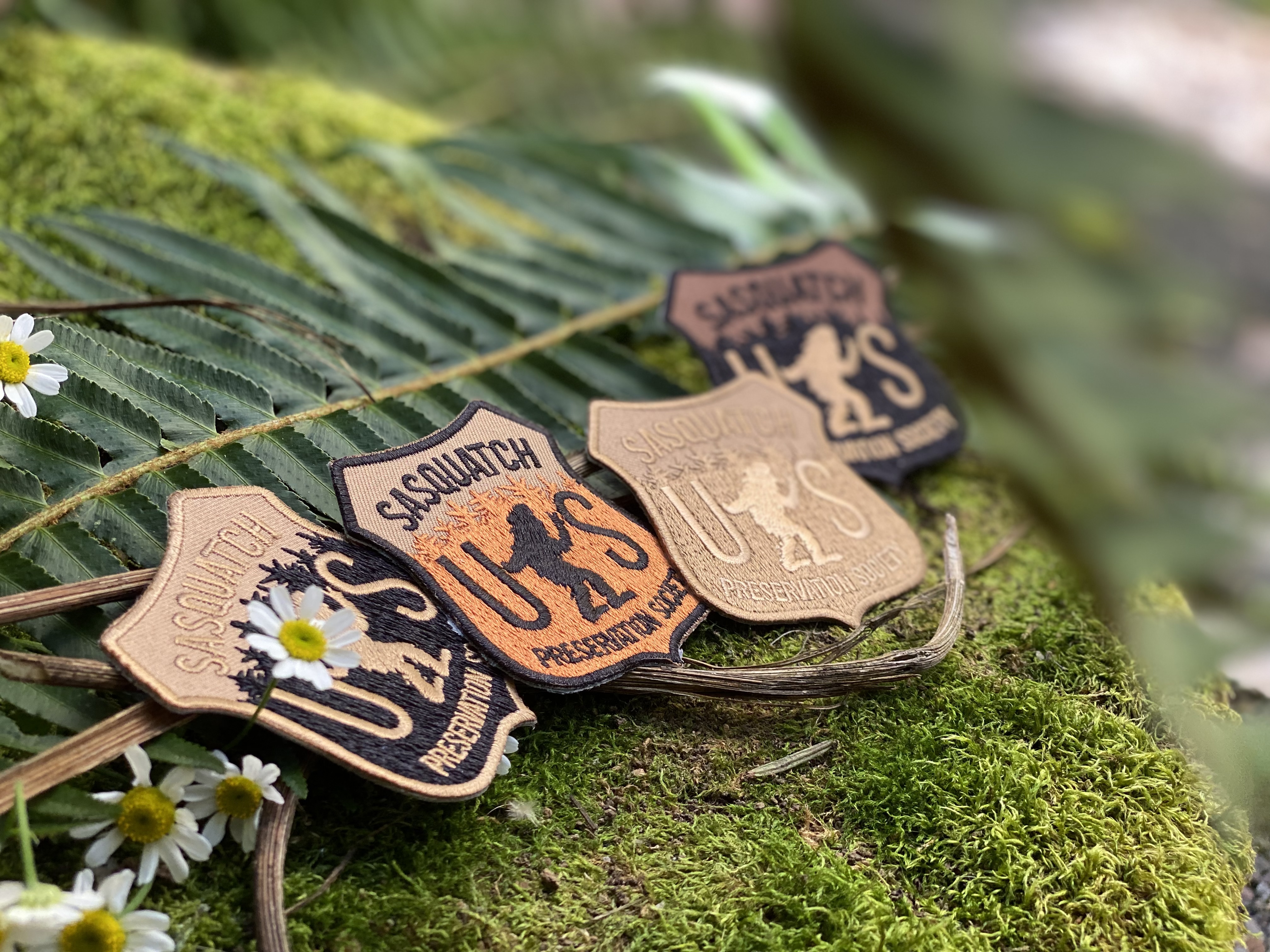 Amazon.com: Little Bay Root: Patches