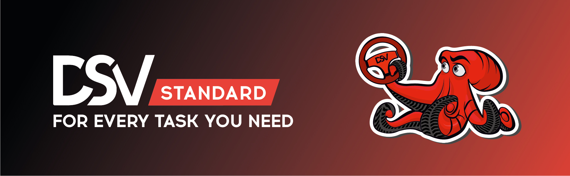 Amazon.com: DSV Standard: CAR ACCESSORIES