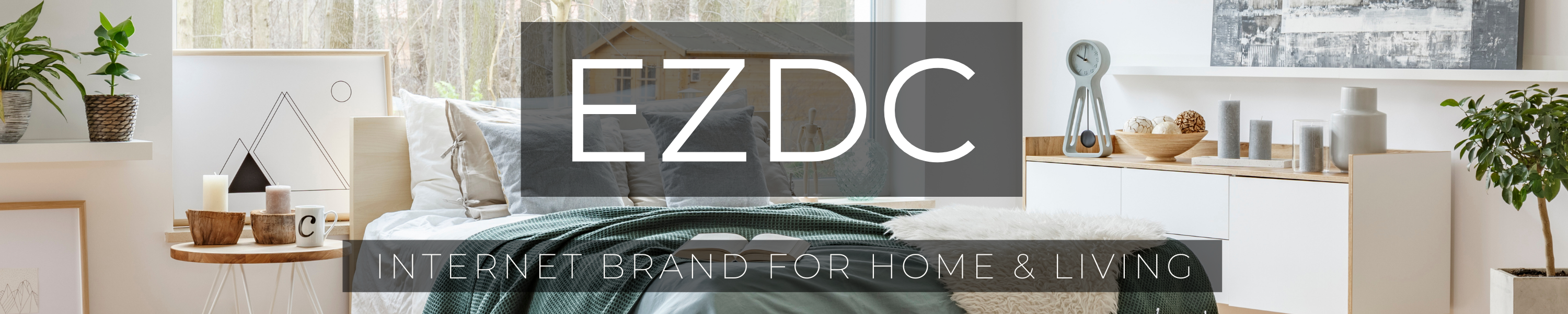 Amazon.com: EZDC: New Arrival