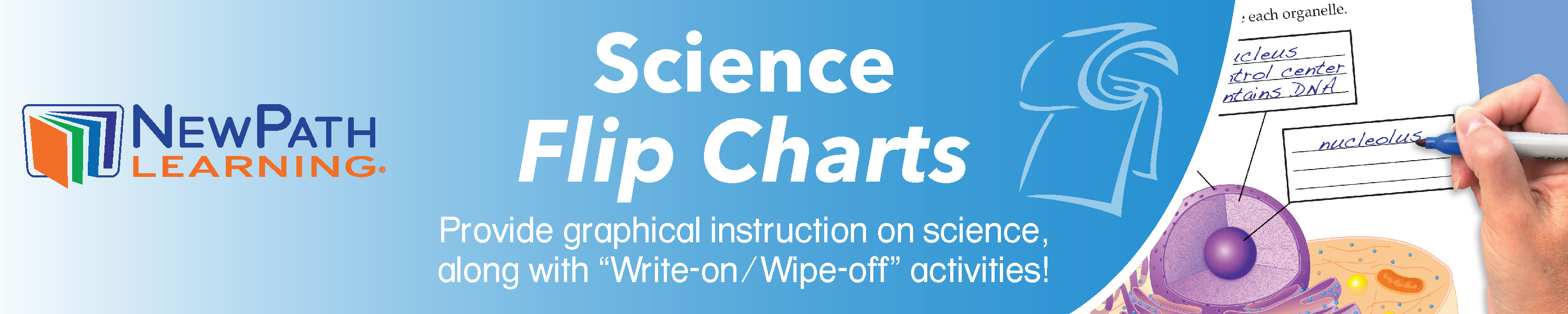 Amazon.com: NewPath Learning: Science Flip Charts