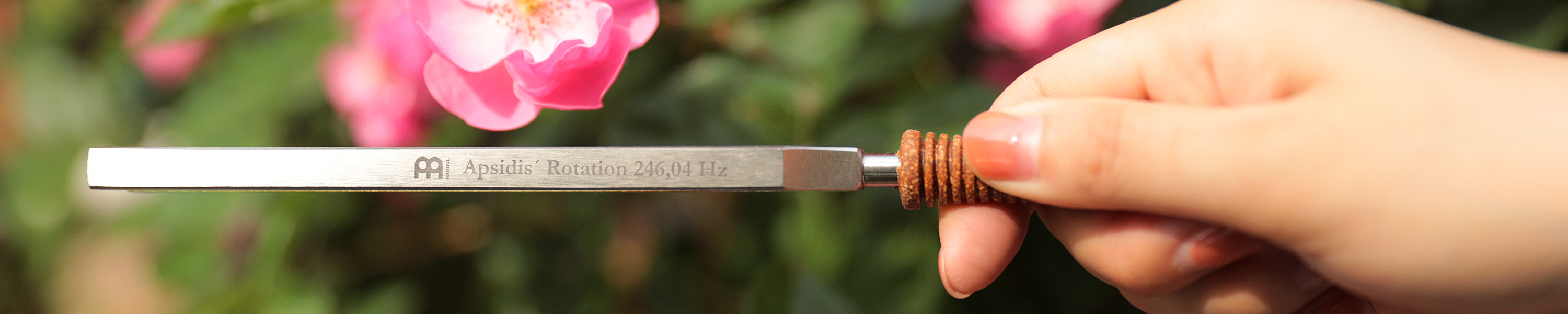 Amazon.com: Meinl Sonic Energy: Tuning Forks