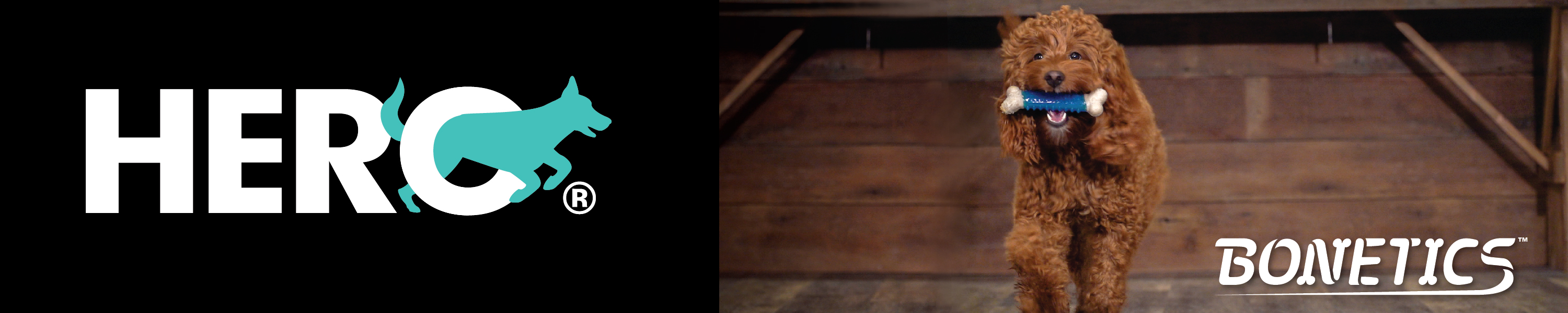 Amazon.com: Hero: Bonetics