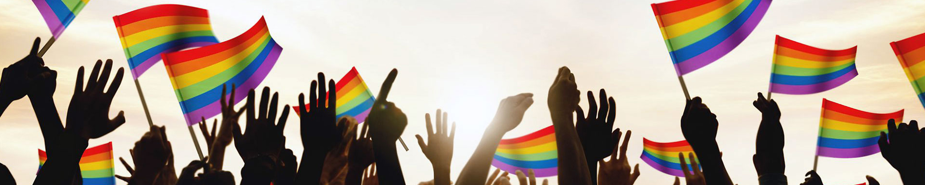 Amazon.com: Roszwtit: LGBT Pride garden flag