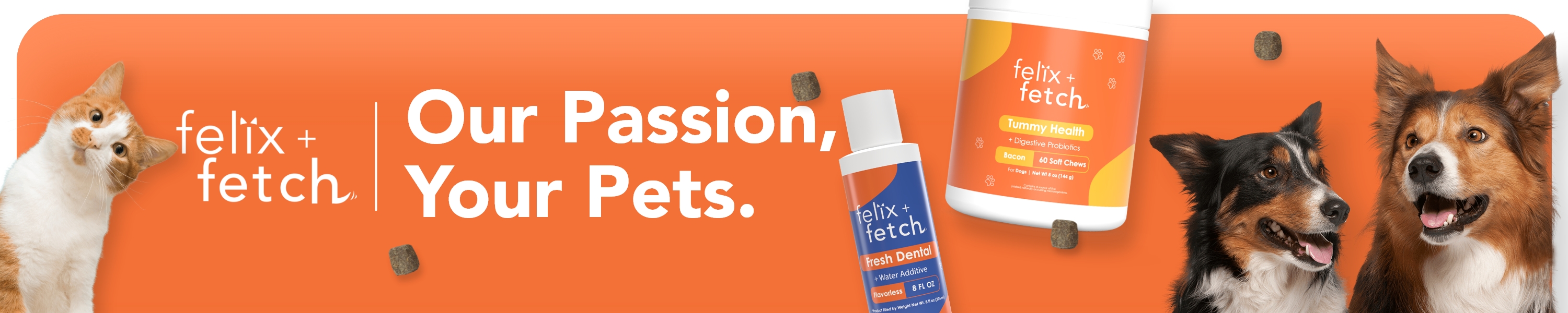 Amazon.com: Felix + Fetch