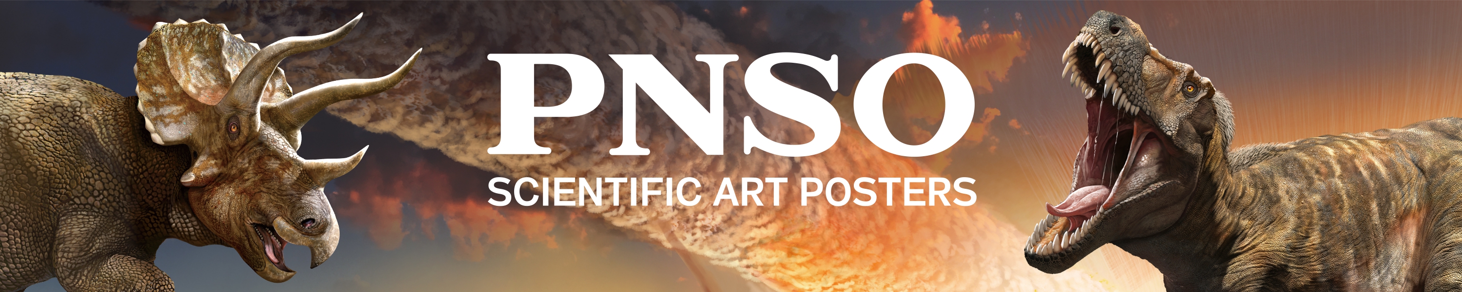 Amazon.com: PNSO: POSTER