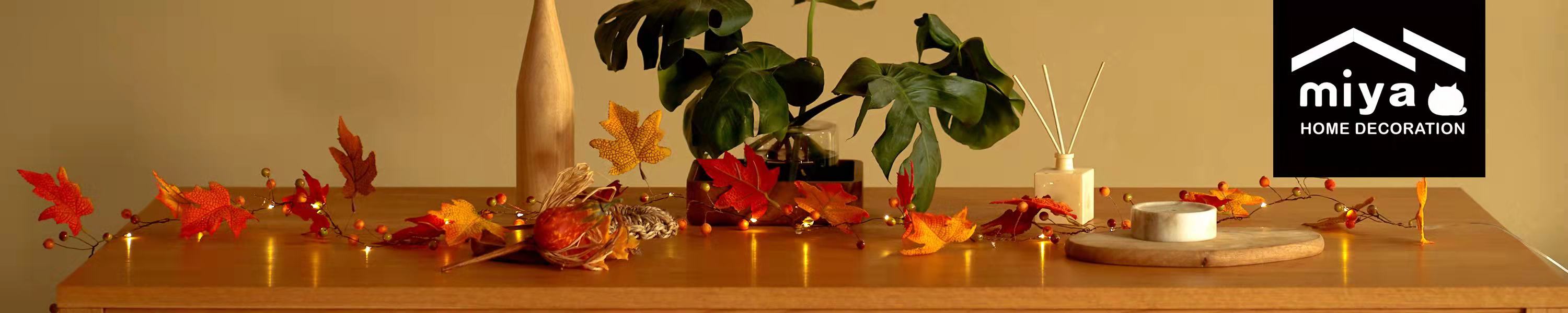 Amazon.com: MIYA LIFE