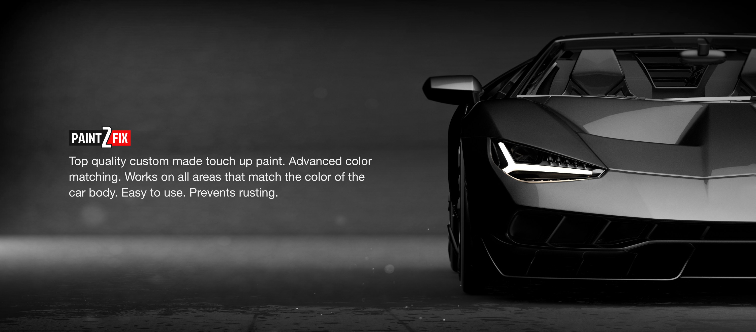 Amazon.com: PAINT2FIX AUTO TOUCH UP PAINT