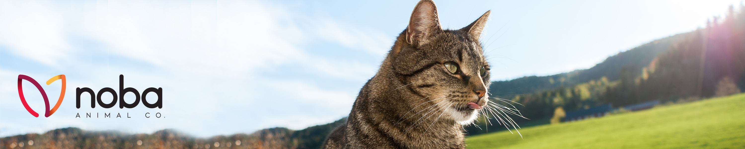 Amazon.ca: Noba Animal Co.