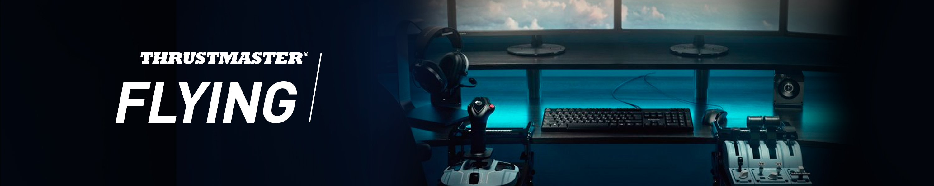 Amazon.ca: Thrustmaster: Flying