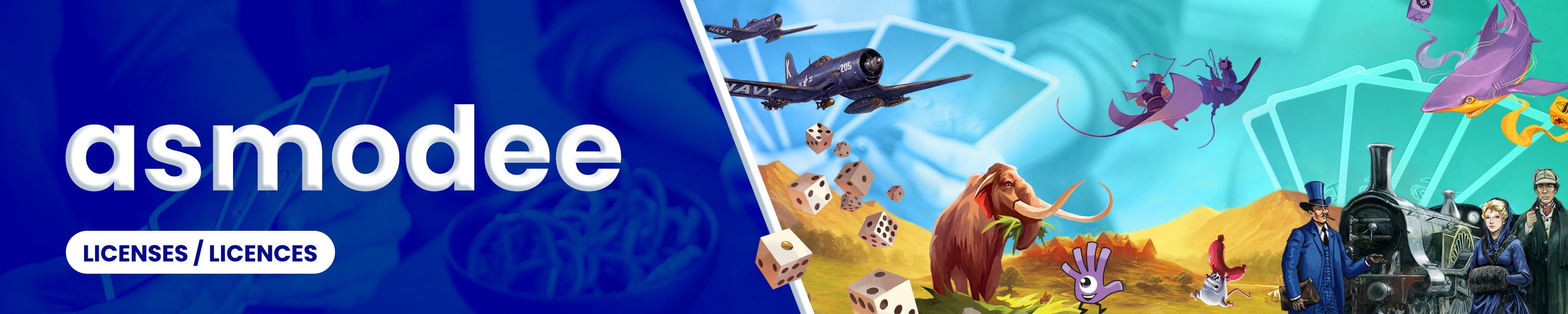 Amazon.ca: Asmodee : Licenses