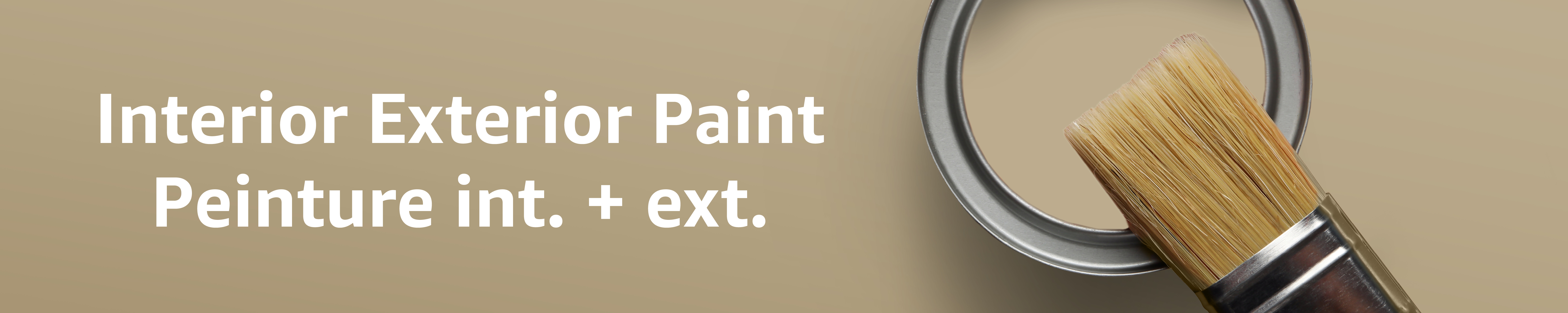 Amazon.ca: Boomerang: INTERIOR + EXTERIOR PAINT