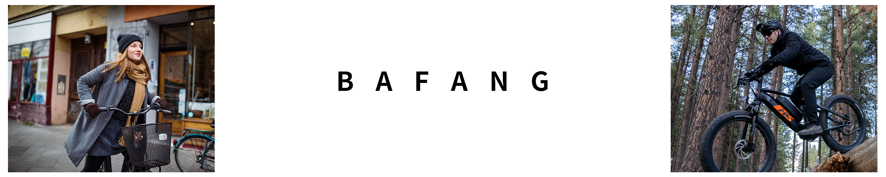 Amazon.com: BAFANG