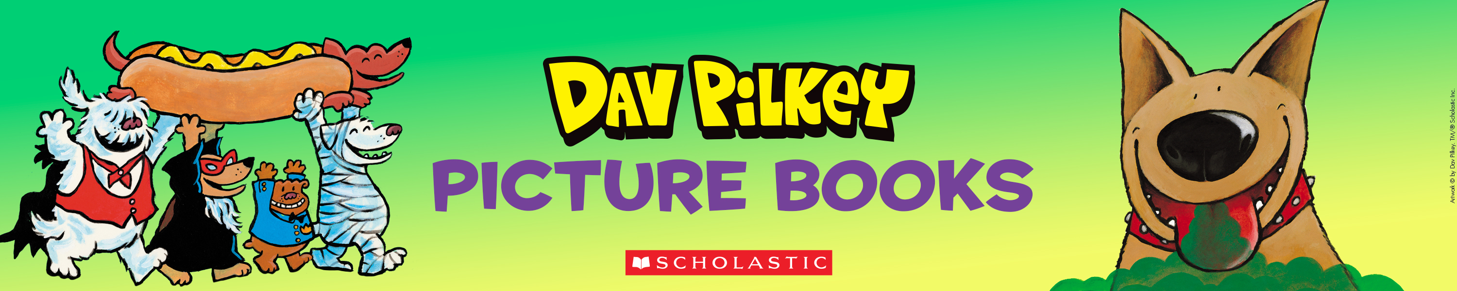 Amazon.com: Dav Pilkey: Picture Books