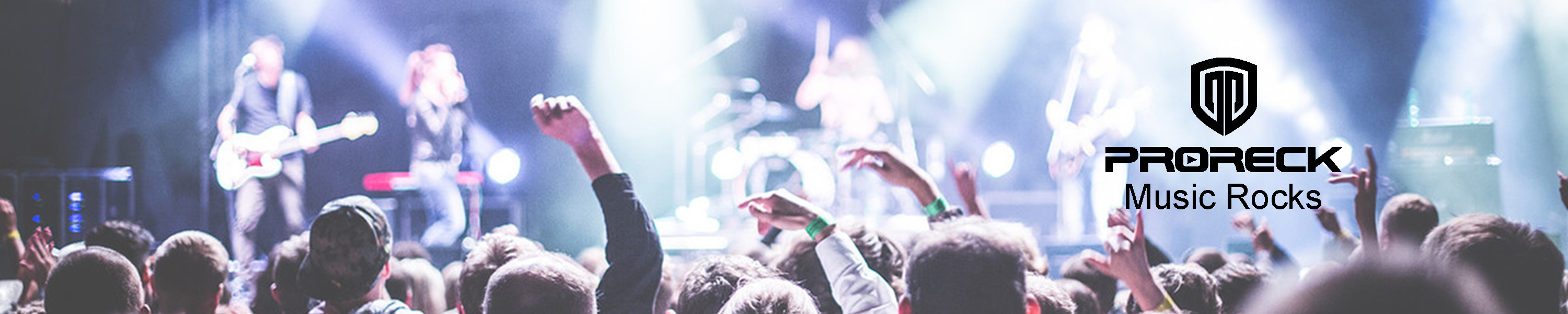 Amazon.com: PRORECK AUDIO