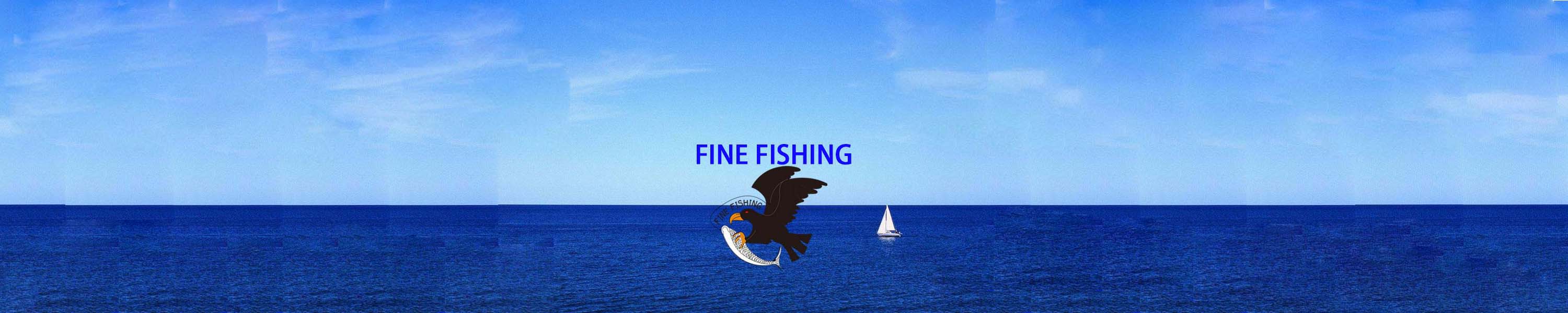 Amazon.com: FINE FISHING : Fishing lure eye 2D/3D/4D/5D