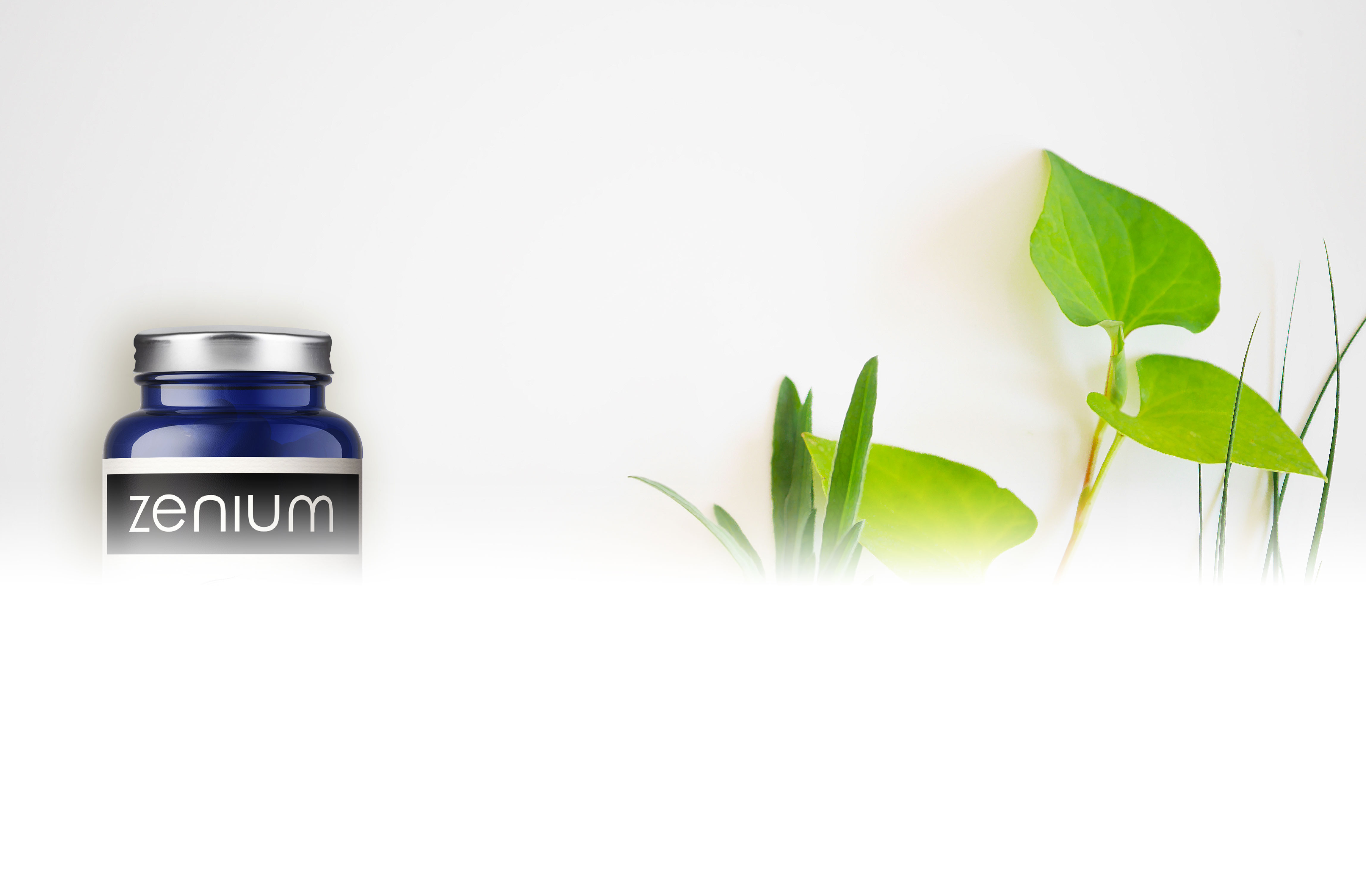 Amazon.com: Find Your Zen