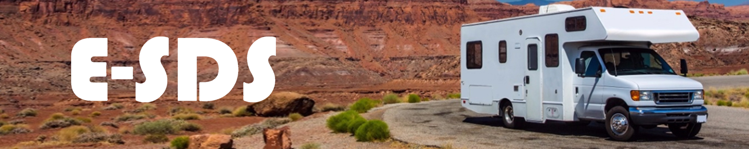 Amazon.com: E-SDS: Auto Parts & Accessories