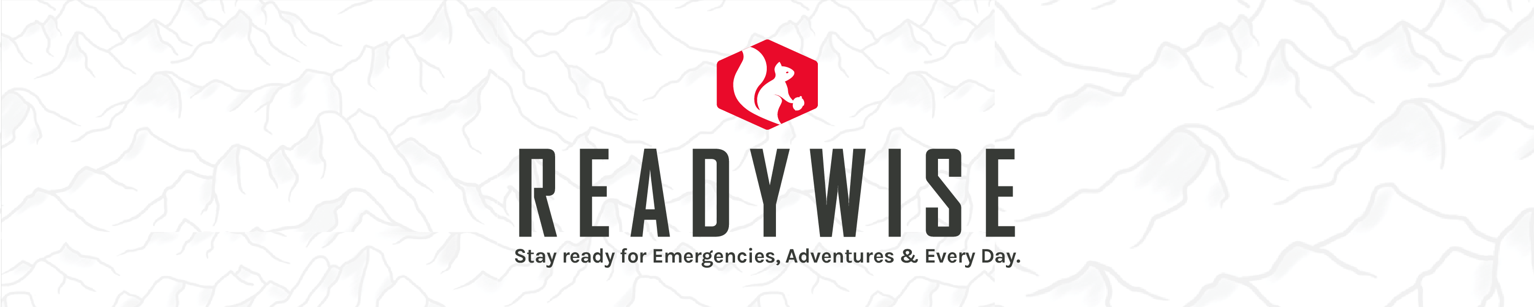 Amazon.com: ReadyWise