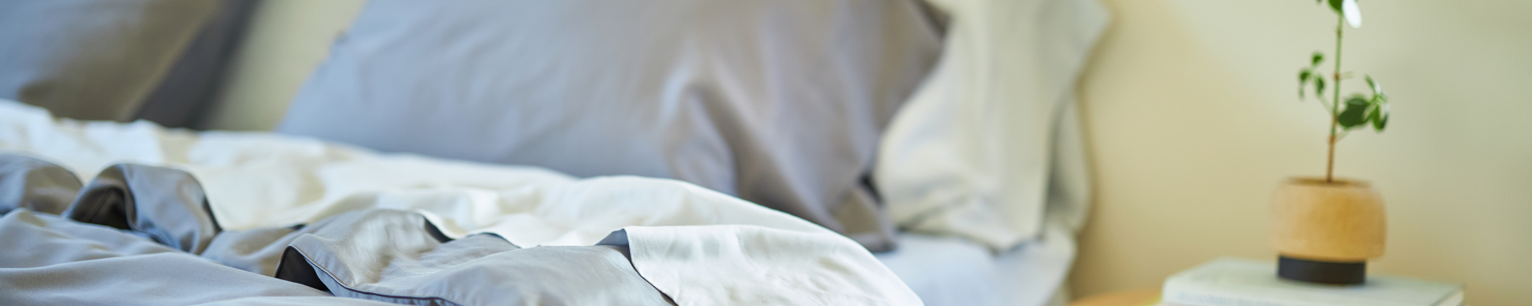 Amazon.com: Slumber Cloud