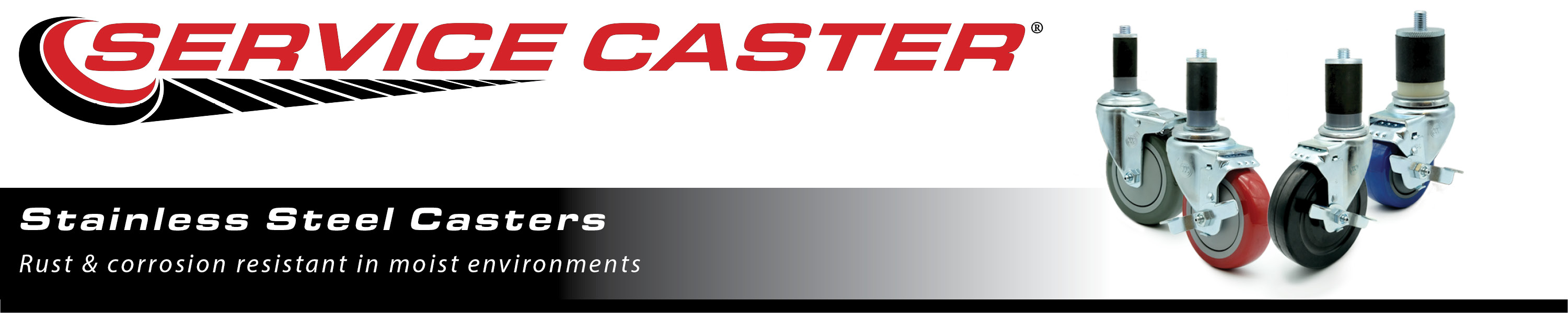Amazon.com: Service Caster Corporation: Stainless Steel