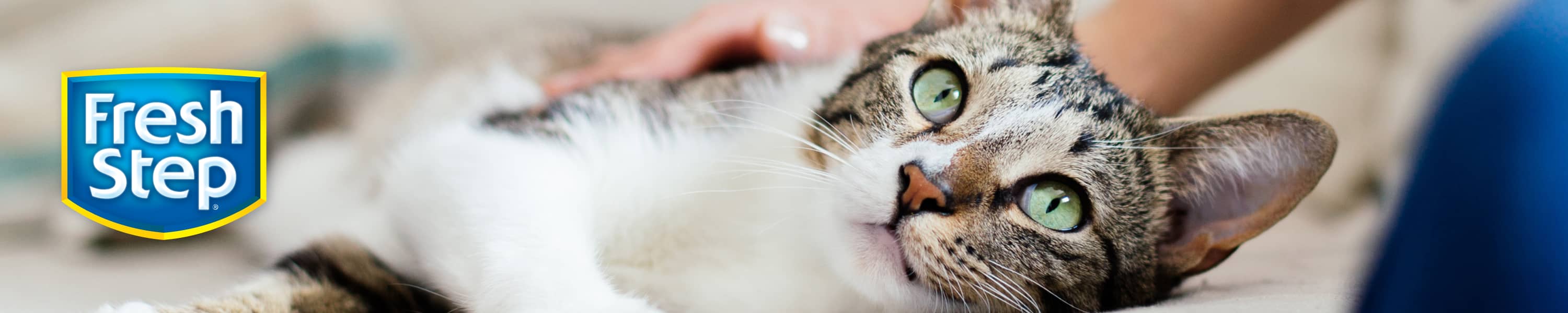 Amazon.com: Fresh Step