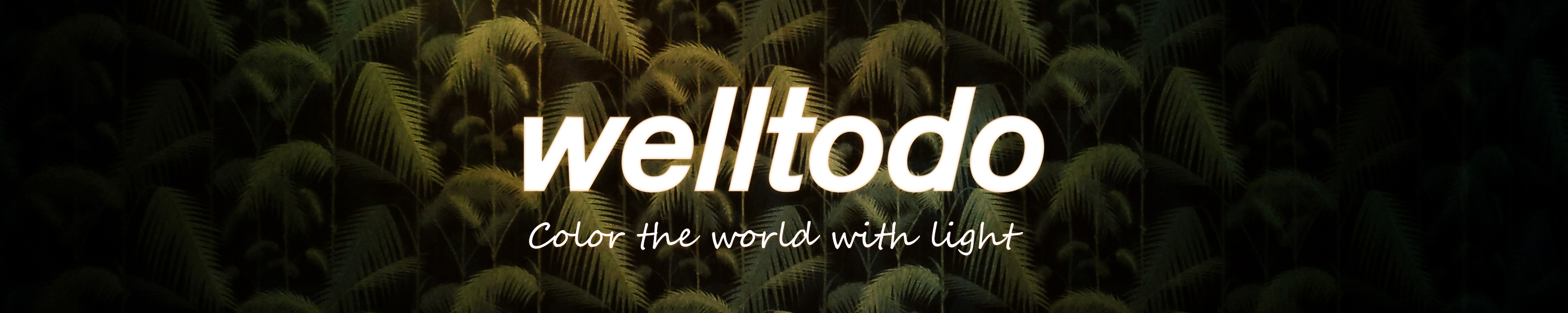 Amazon.com: WELLTODO