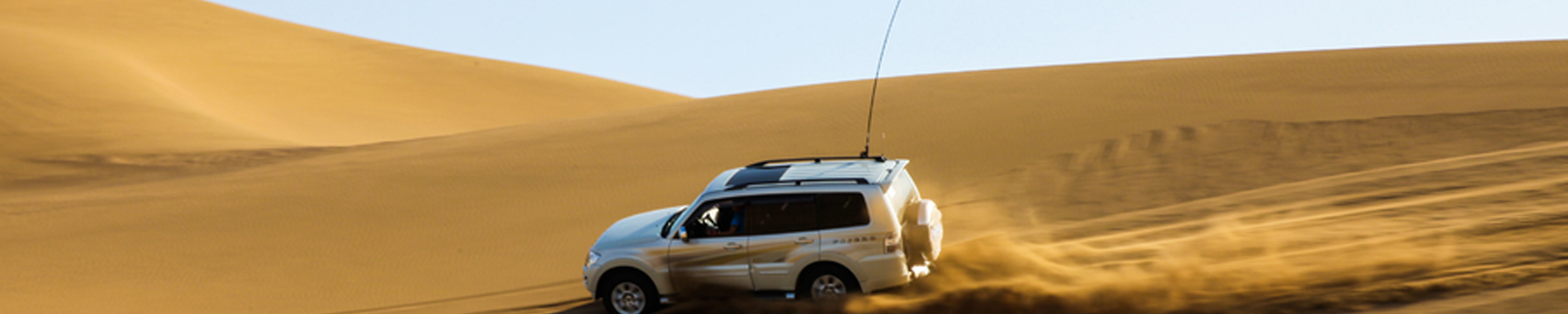 Amazon.com: VFAN GPS Antenna : Car Antenna