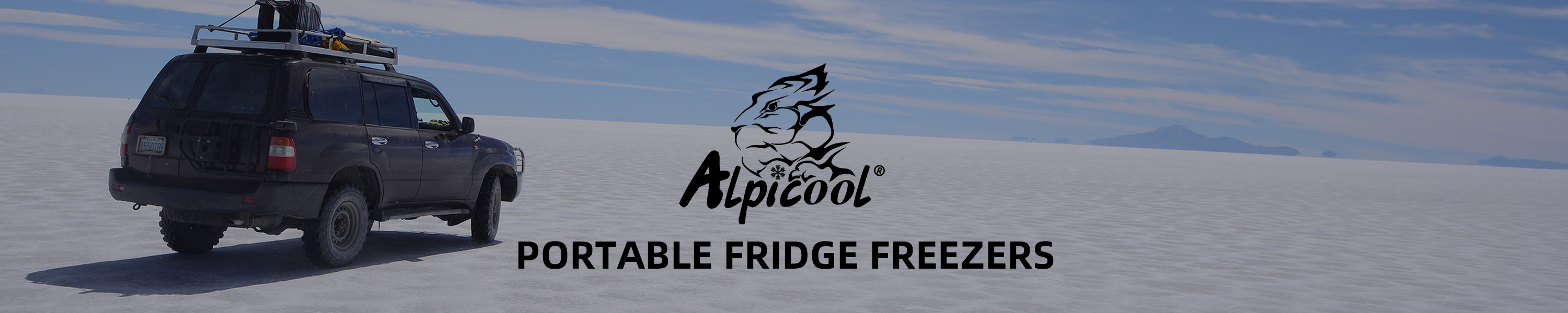 Amazon.com: Alpicool