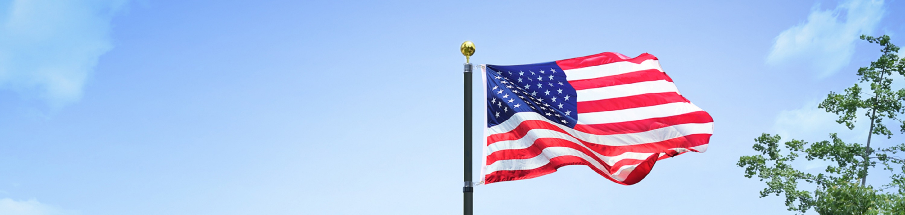 Amazon.com: Professional Display Stand