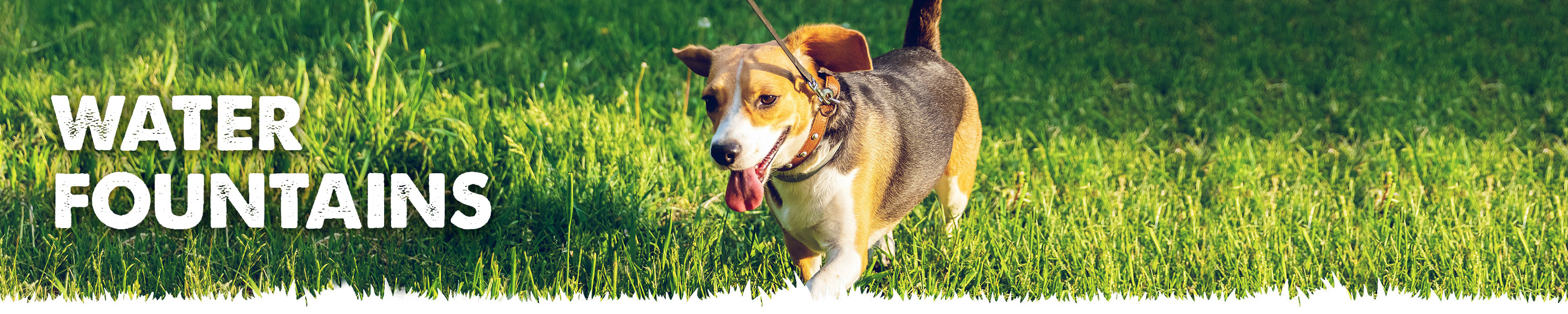 Amazon.com: Zeus: Water Fountains