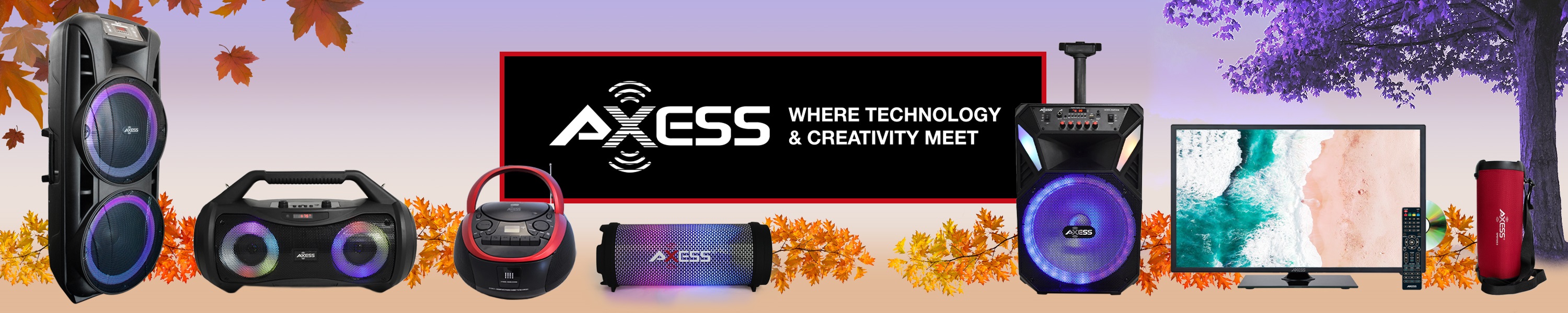 Amazon.com: Axess: PA Systems