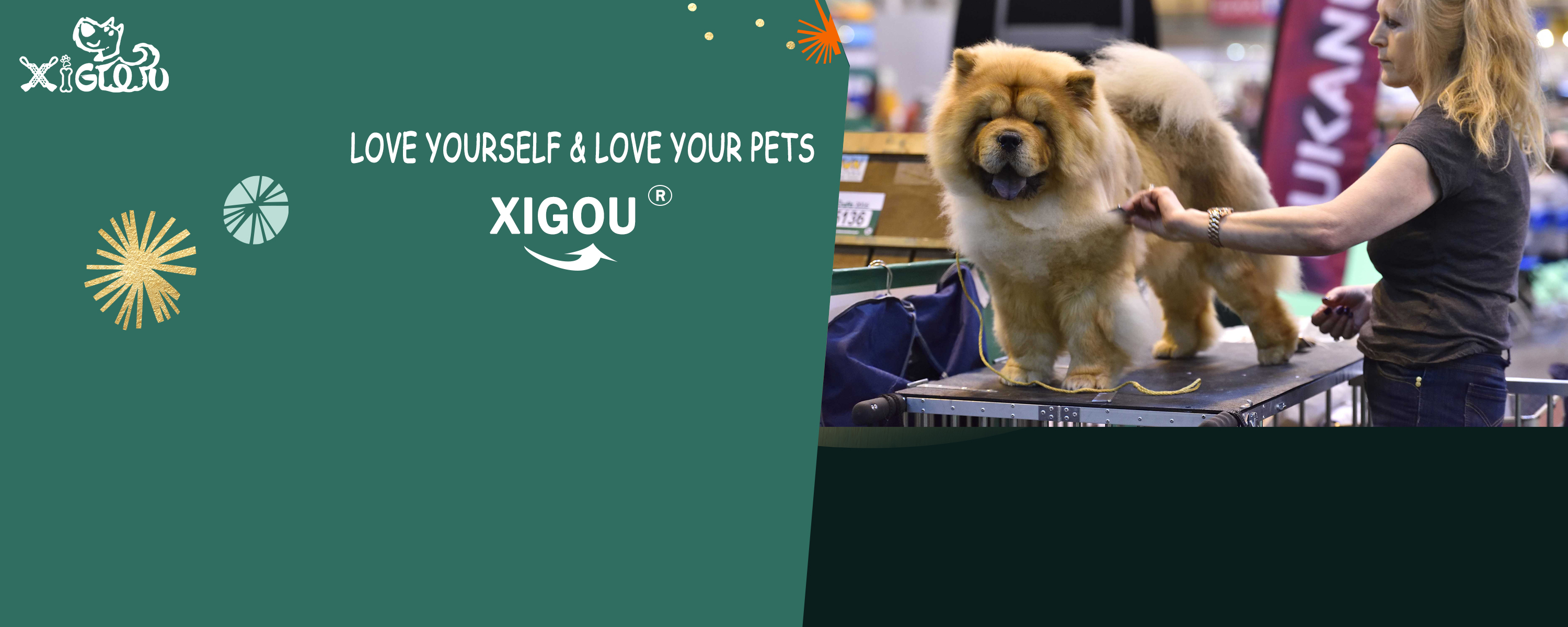 Amazon.com: XIGOU