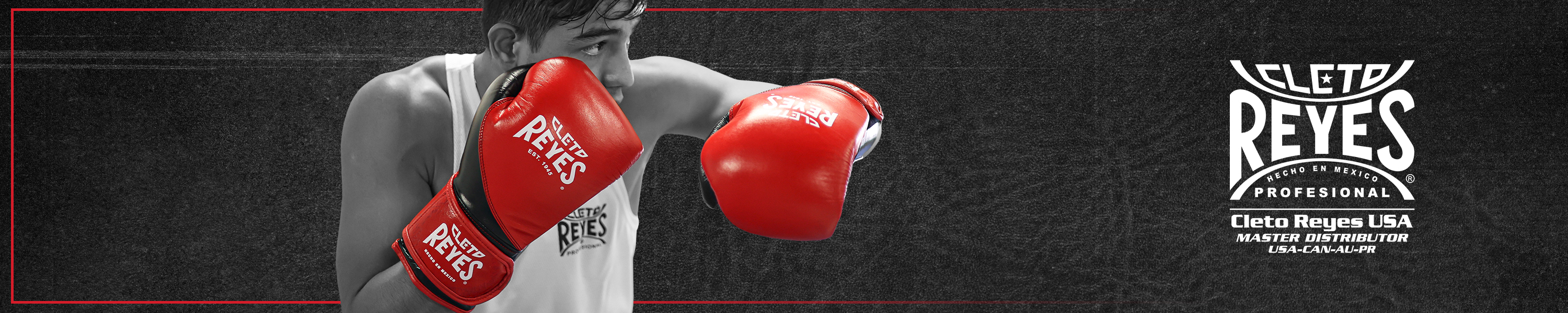 Amazon.com: CLETO REYES: Heavy Bags