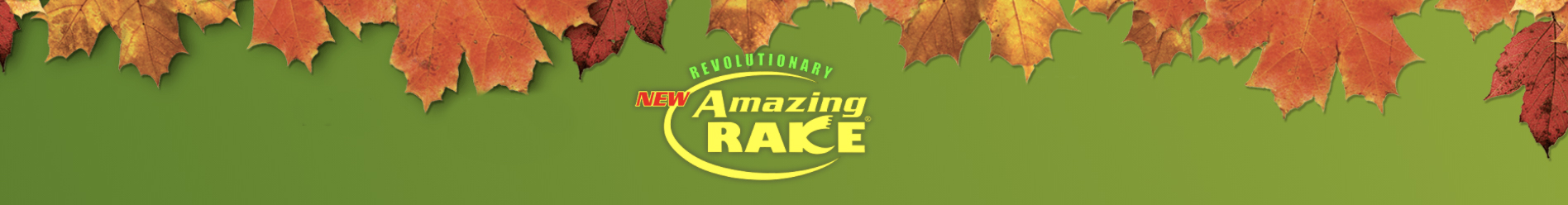 Amazon.com: Amazing Rake: Amazing Pop-Up Bag