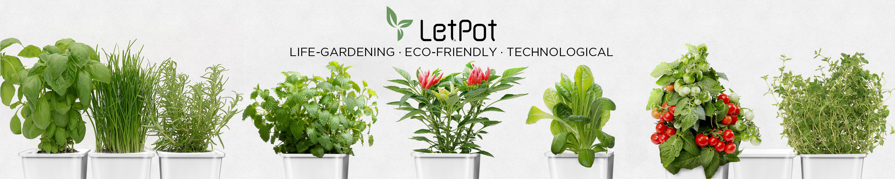 Amazon.com: LetPot: Smart Planter