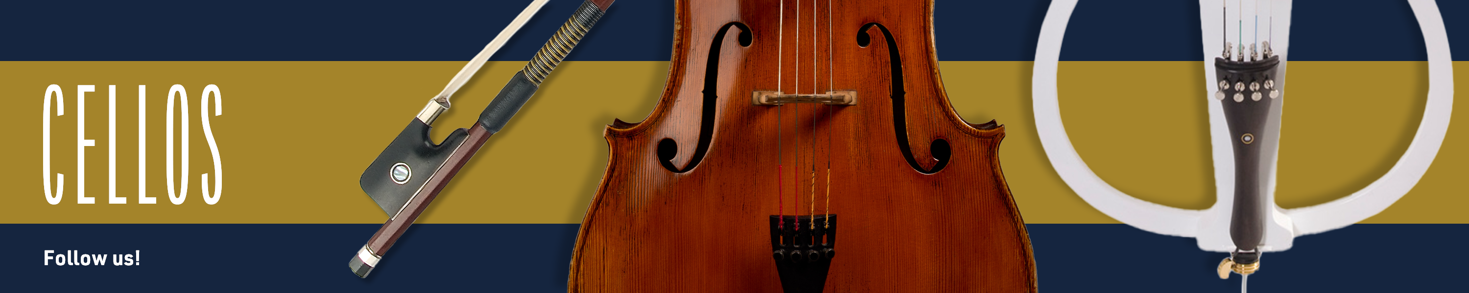 Amazon.com: Cecilio: Acoustic Cellos