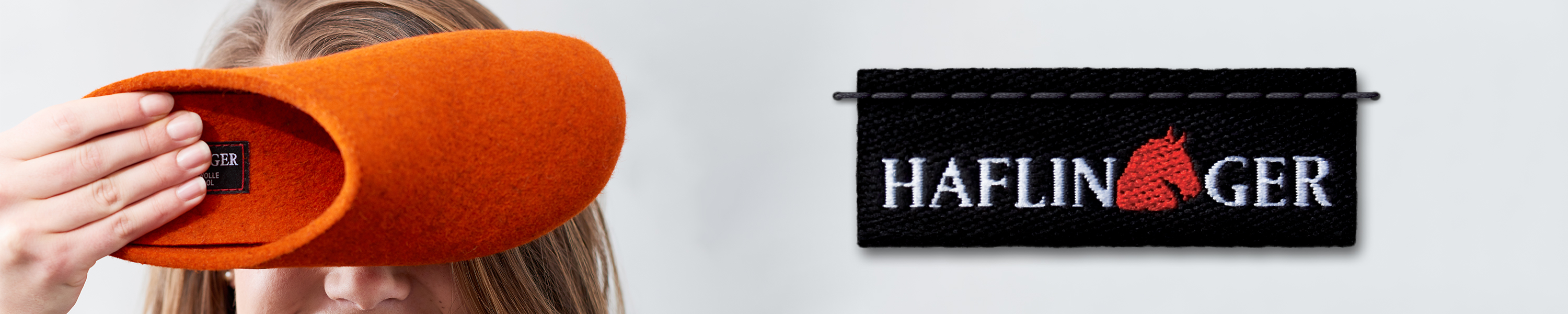 Amazon.com: Haflinger