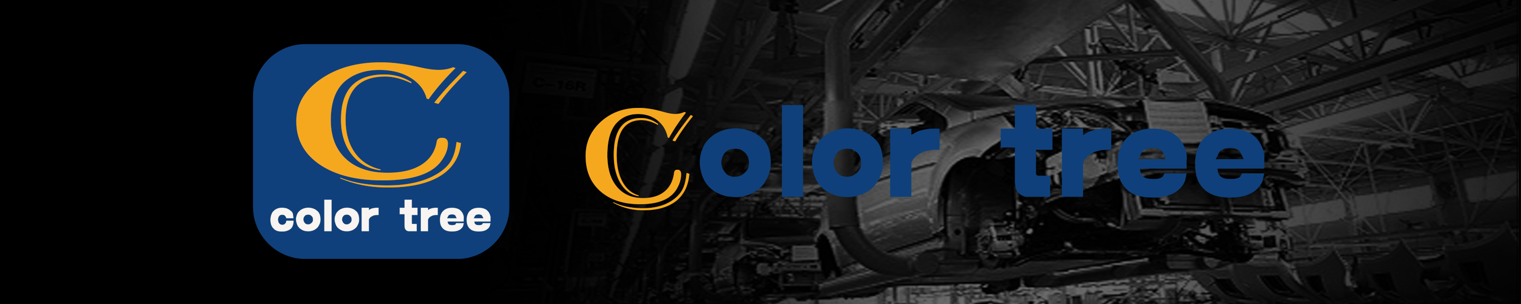 Amazon.com: COLOR TREE