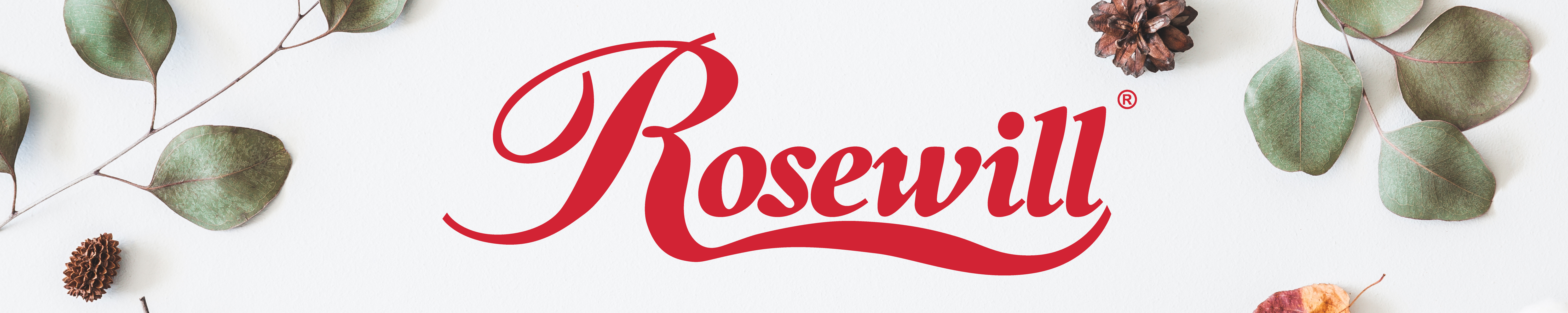 Amazon.com: Rosewill Inc.: New Arrivals