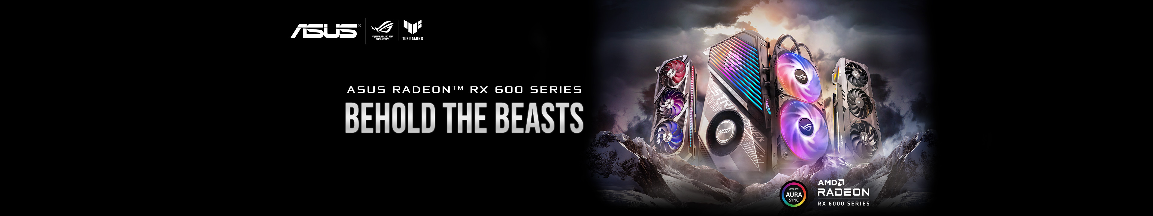 Amazon.com.br: ASUS: AMD Graphics Cards