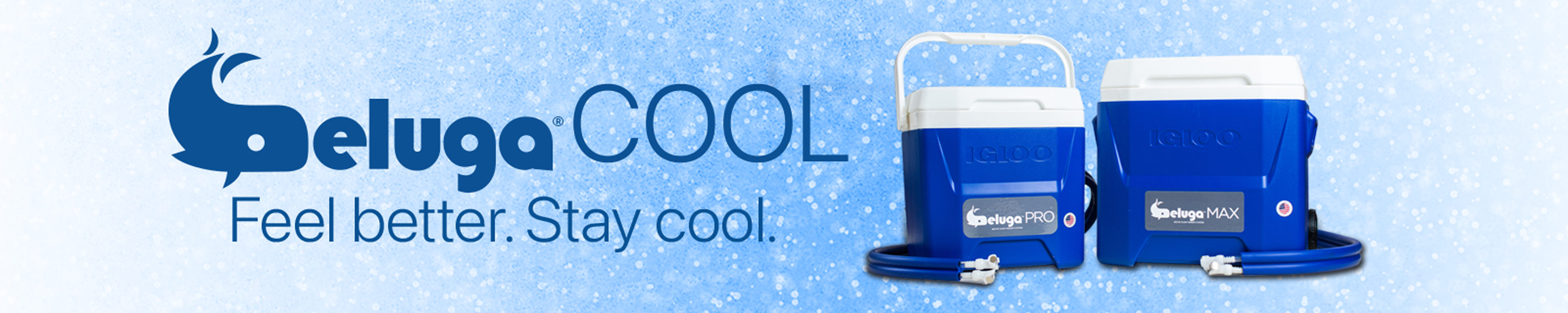 Amazon.com: Beluga: Beluga Smart