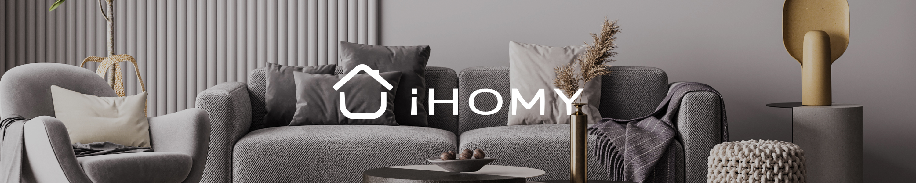 Amazon.com: iHomy