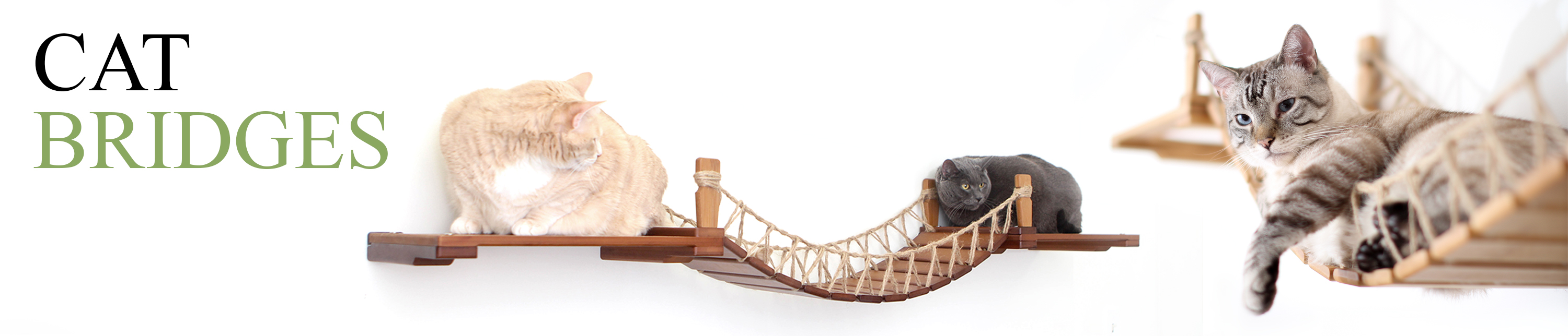 Amazon.com: Catastrophic Creations: Cat Bridges