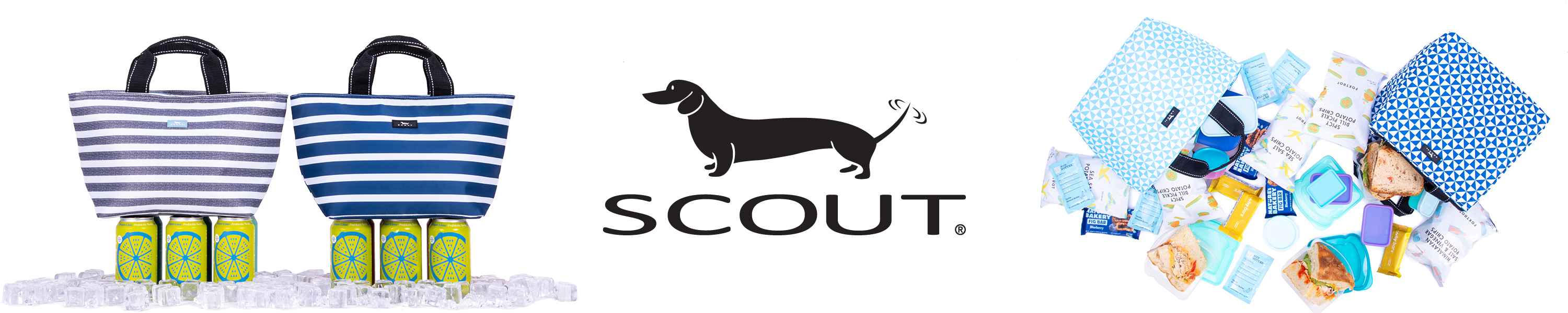 Amazon.com: SCOUT: Lunch Bags
