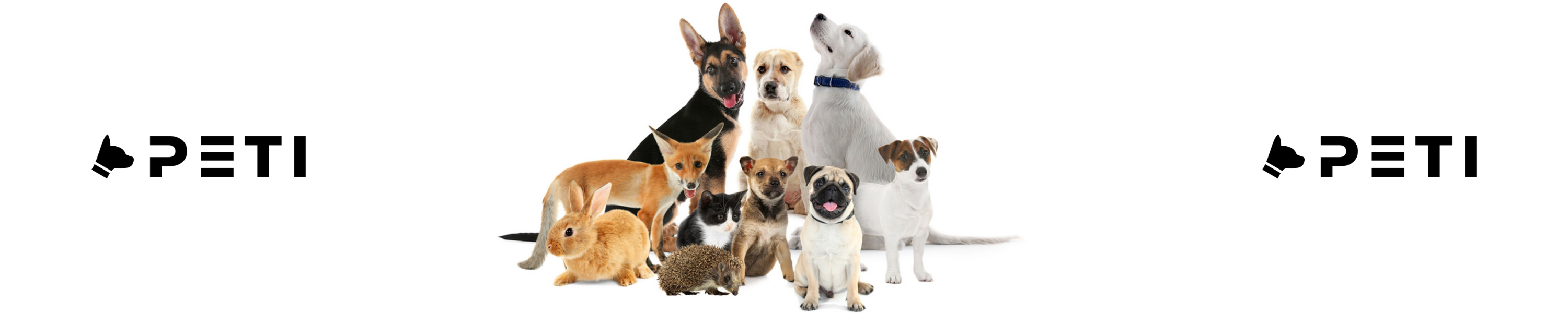 Amazon.com: Your Pet Partner.