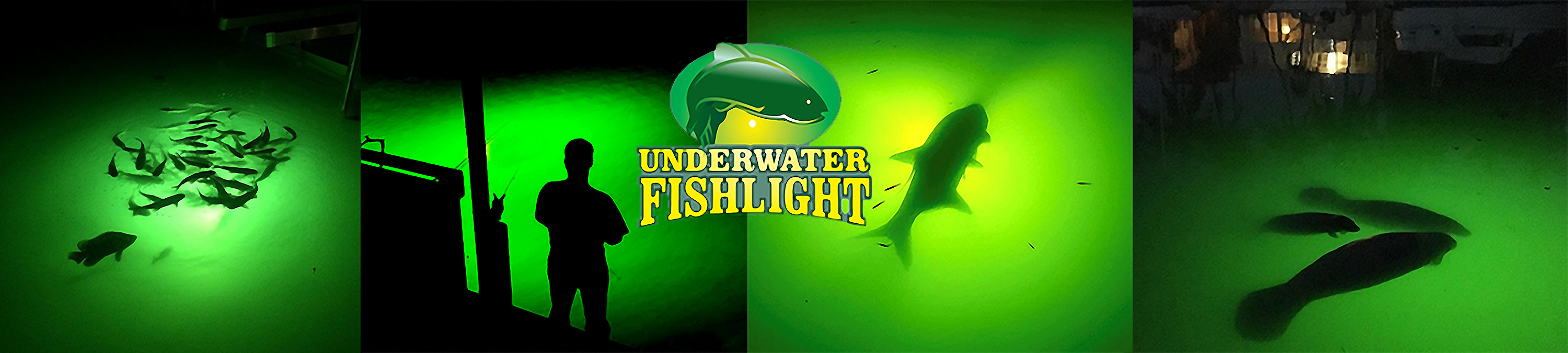 Amazon.com: Underwater Fish Light: How They Work