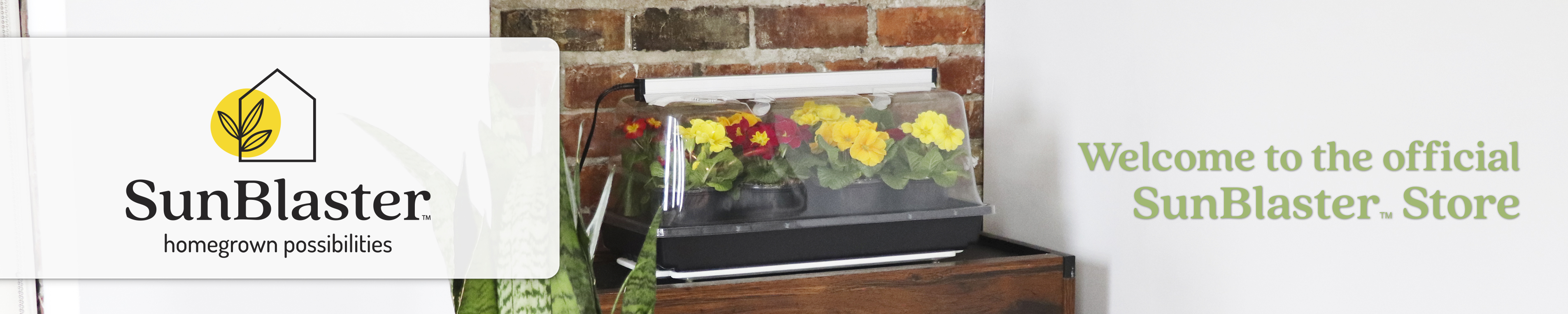 Amazon.com: SunBlaster Lighting: Grow Lights