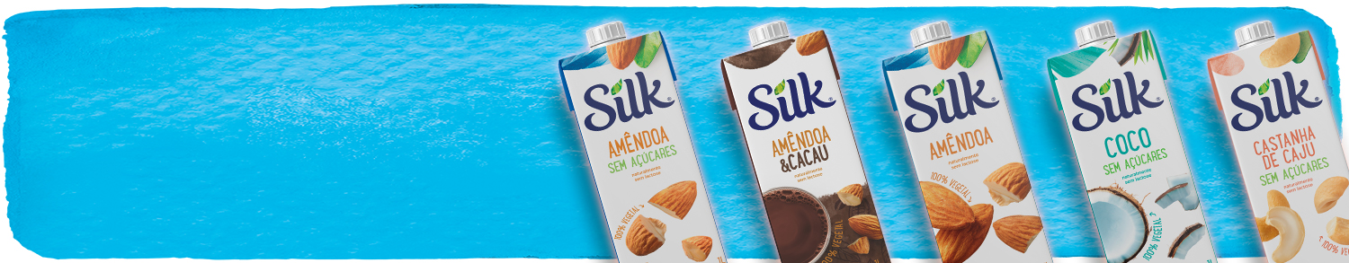 Amazon.com.br: Silk: Nossos produtos