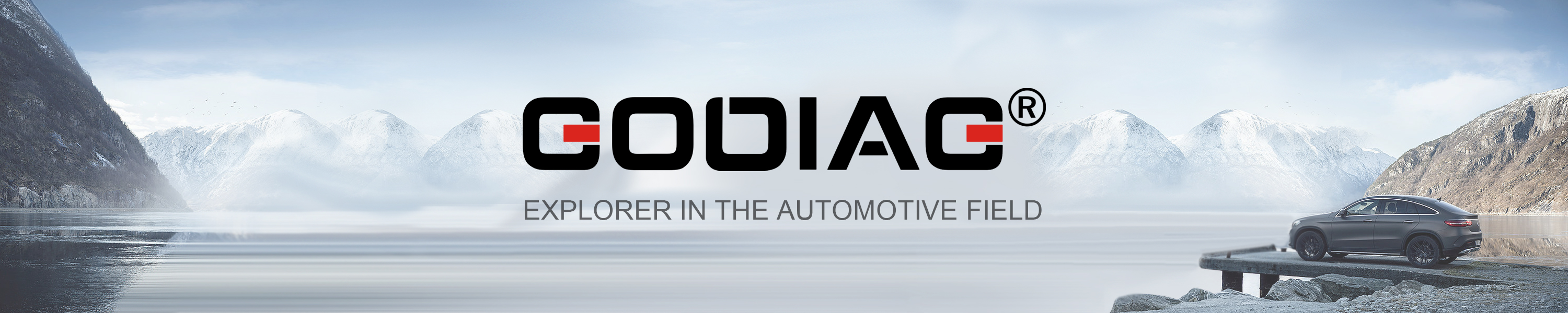 Amazon.com: GODIAG: All Systems OBD2 Scanner